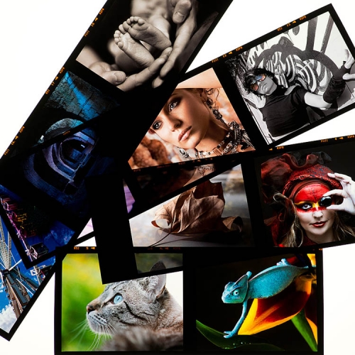 Medium format colour transparencies – Digital Slides